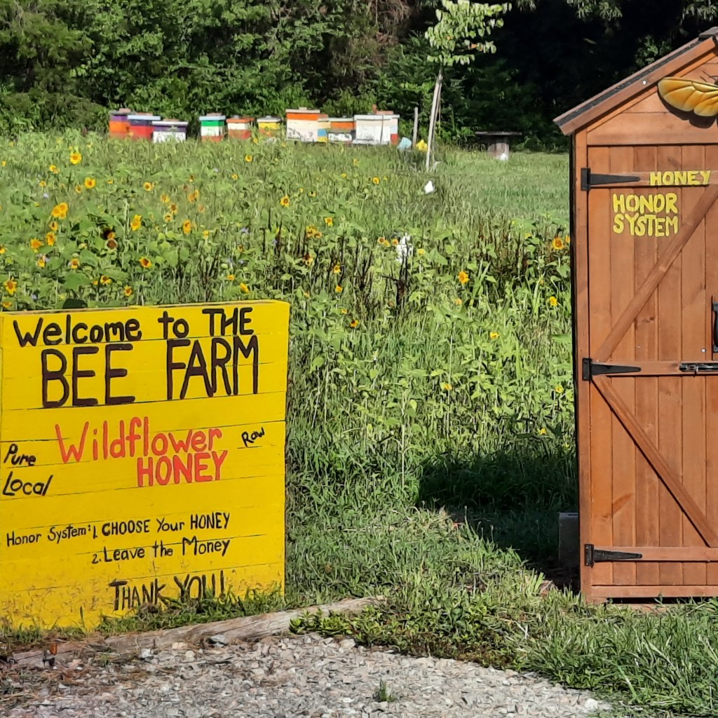 Cold Harbor Bee Farm LLC – The finest in local honey and products of ...