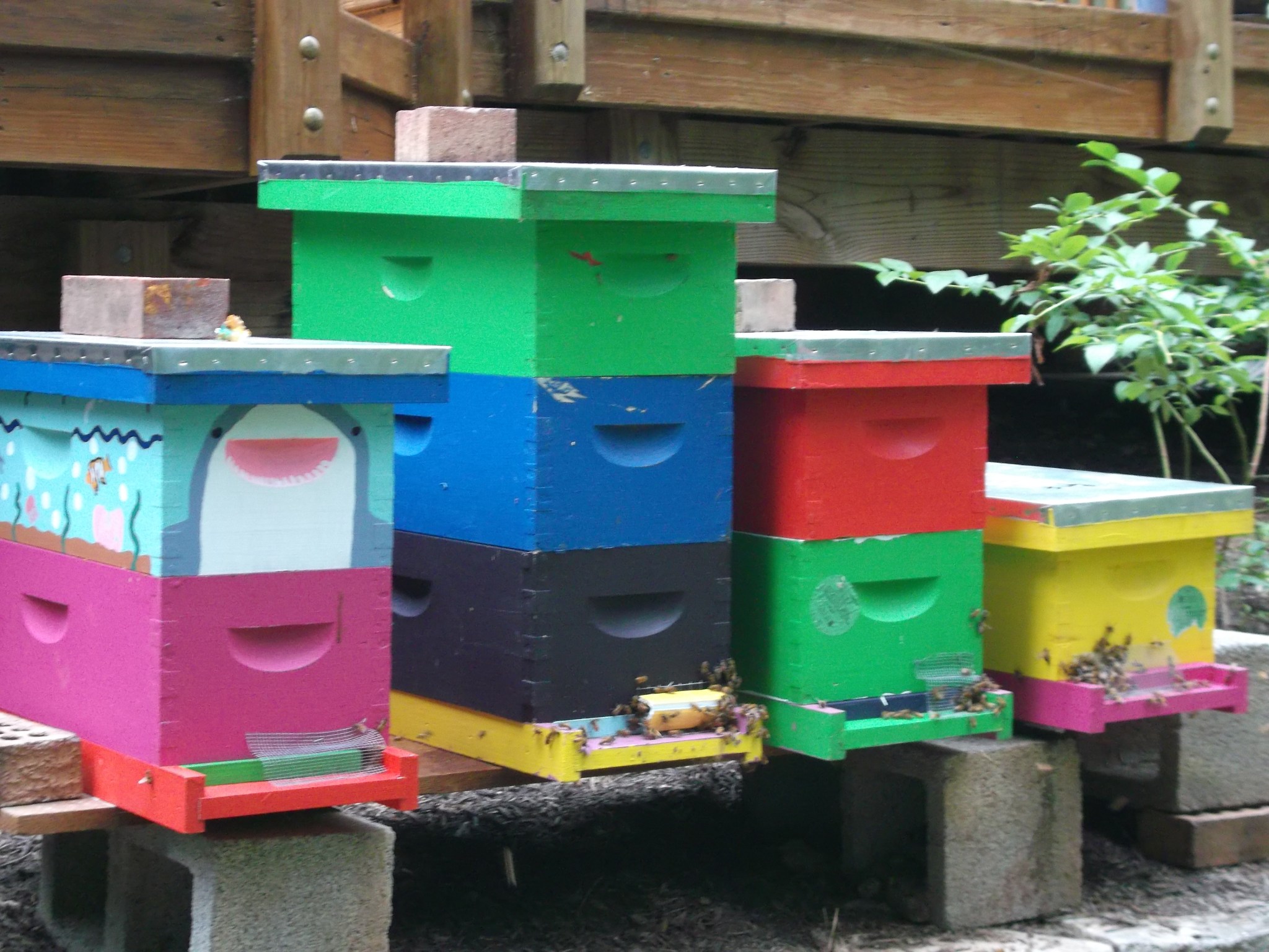 Cold Harbor Bee Farm LLC – The finest in local honey and products of ...